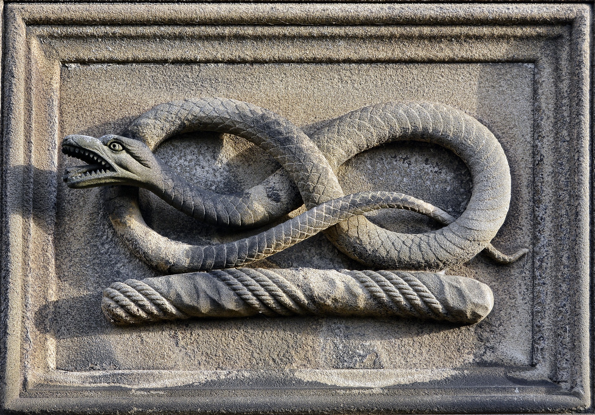 La Symbolique du Serpent • La Magie • EzoOccult, le Webzine d'Hermès